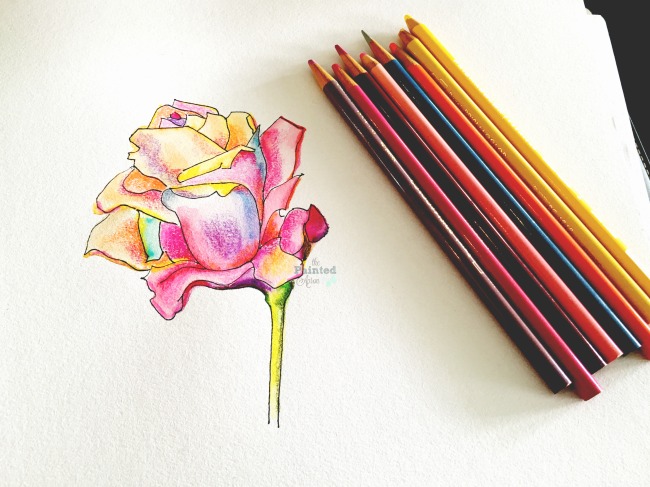 colored pencil layer | The Painted Apron