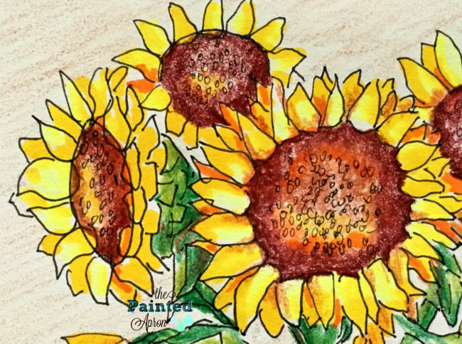 sunflower in pencil and marker | The Painted Apron